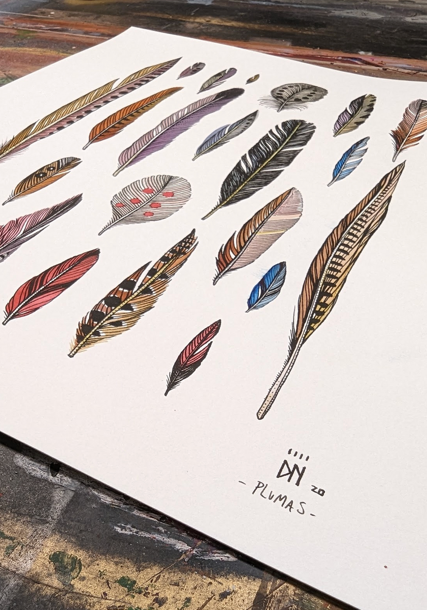 PLUMAS COLOR original – dino nemec