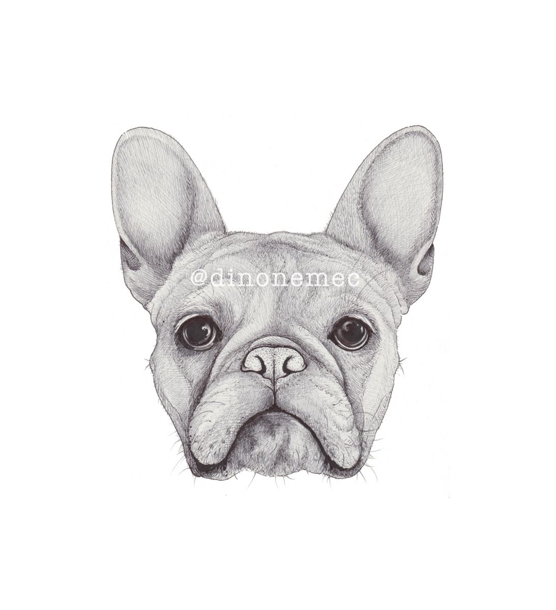 Rubi -new- – dino nemec