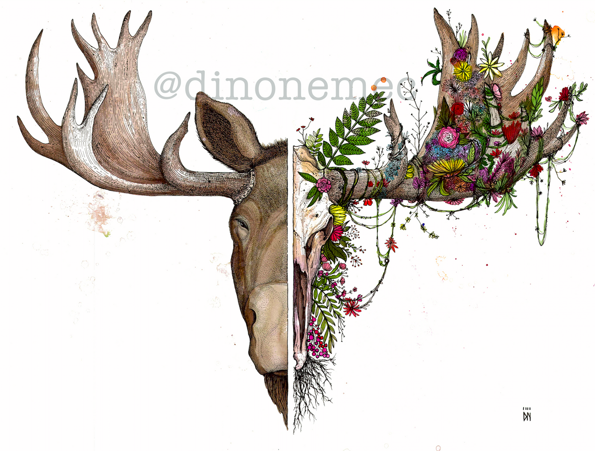 MOOSE – dino nemec